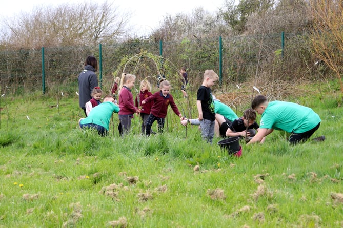Pembroke Refinery Volunteers Join Hundleton School To Plant A Tree For pembroke-refinery-volunteers-join-hundleton-school-to-plant-a-tree-for