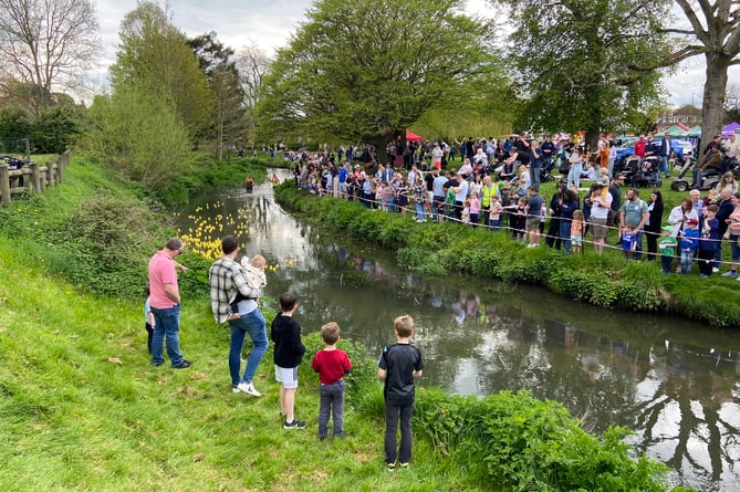 Great Farnham Duck Race returns at Gostrey Meadow this weekend ...