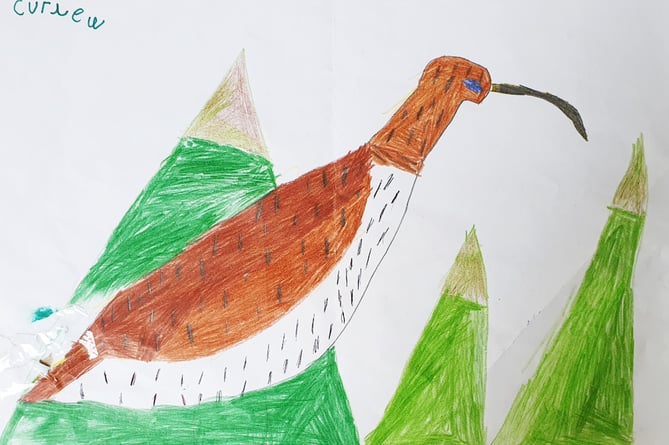 Children's artwork shines in 'Draw a Curlew Competition' for World ...