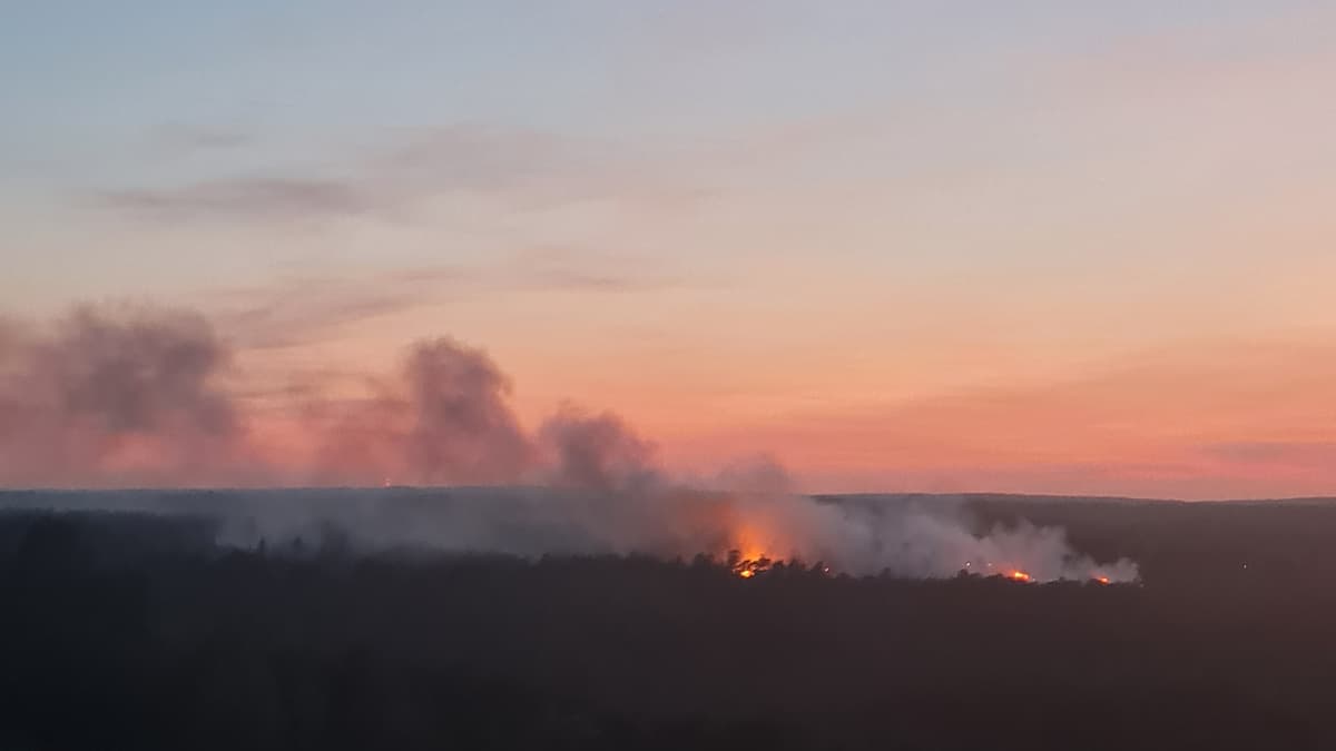 Firefighters still tackling heathland wildfire at Frensham Common ...