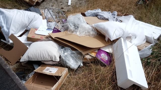 The unsung heroes without whom East Hampshire would turn into a 'Wild ...