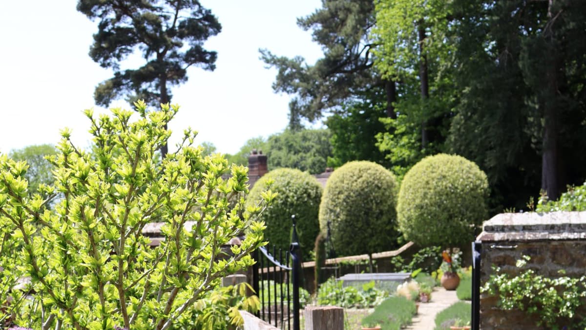 Gallery: Hidden Gardens of Grayshott photo contest winners announced ...