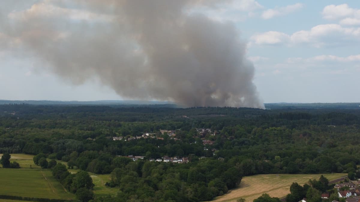 Fire crews tackling huge wildfire on the MOD-owned Longmoor Ranges near ...
