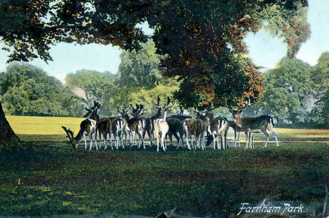 Help Historic England complete the picture of Farnham Park’s historic ...