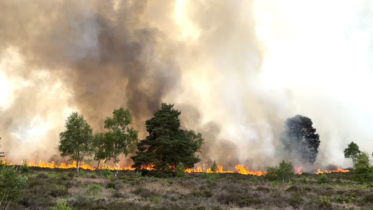 People were still lighting barbecues as Longmoor Camp burned, say ...