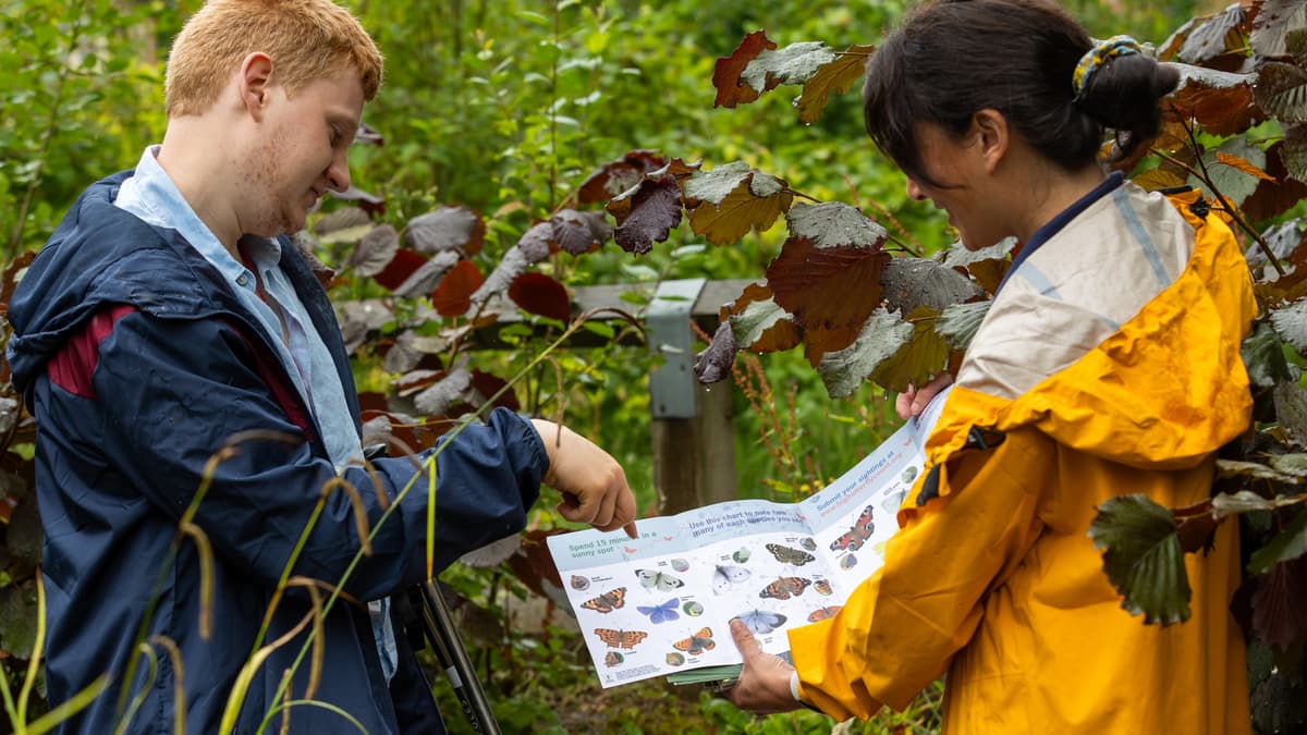 Spend time outdoors and join in this year's Big Butterfly Count ...