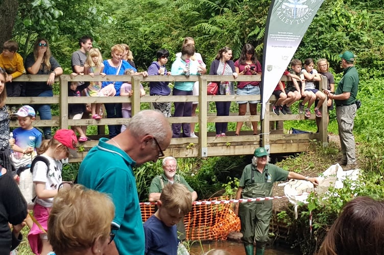 Gallery: Rubber duckies make a splash at the Deadwater Valley Trust ...