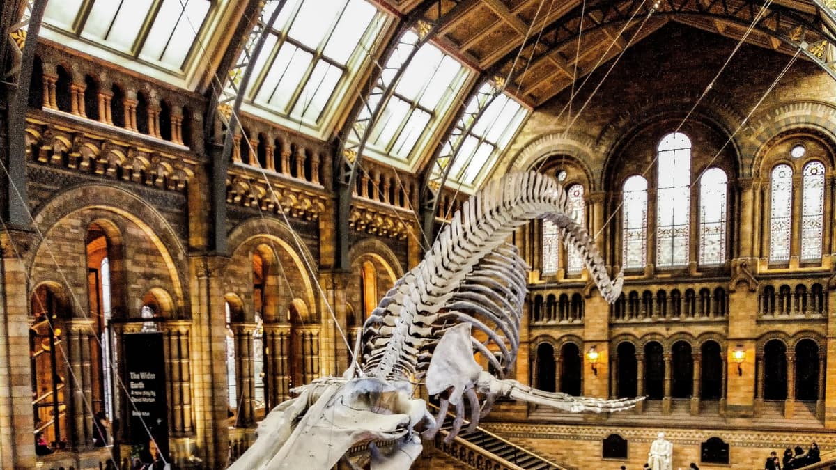 Summer adventures on a shoestring: Fifty family days out for under £20 ...