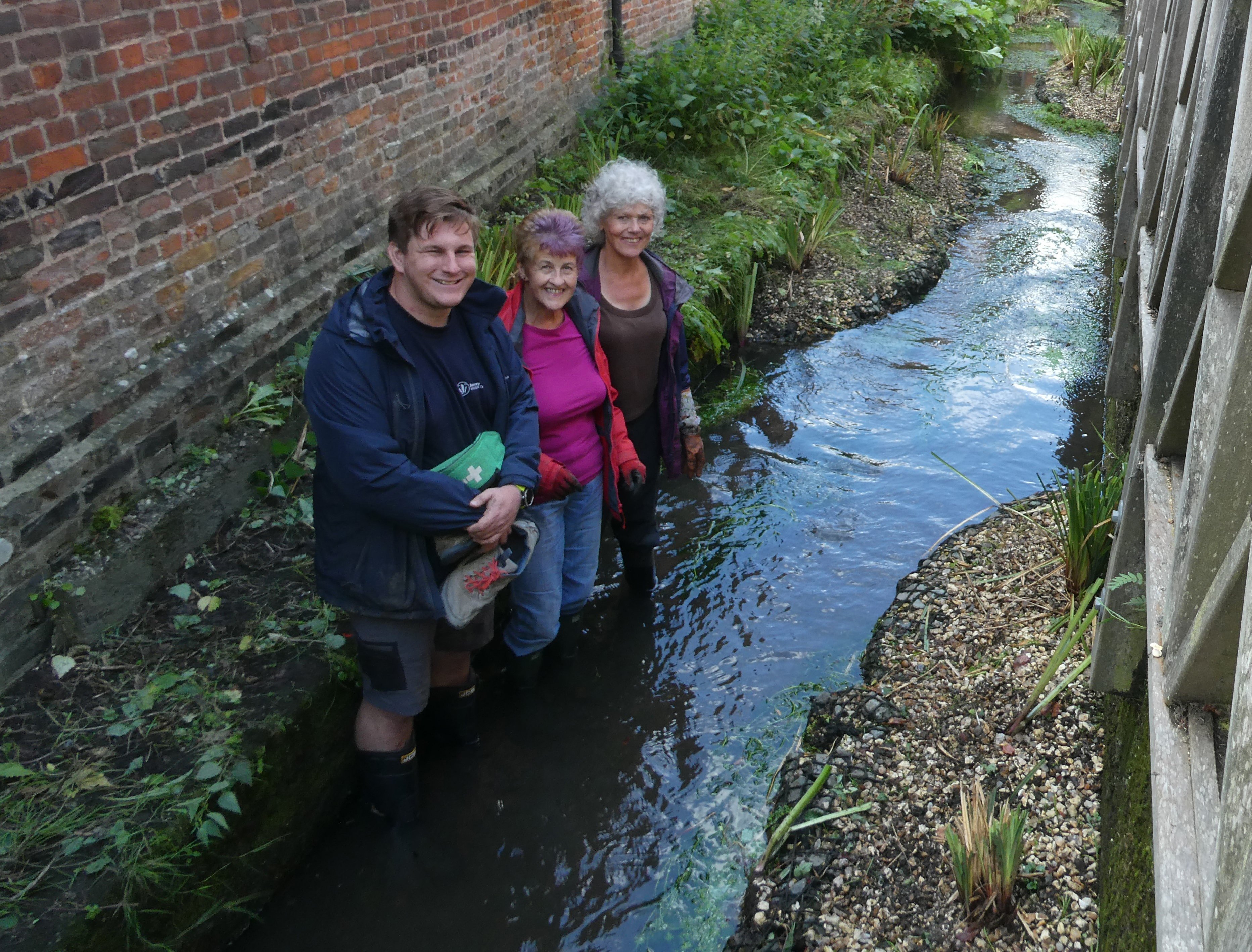 Alton sees fish return to urban section of River Wey | farnhamherald.com