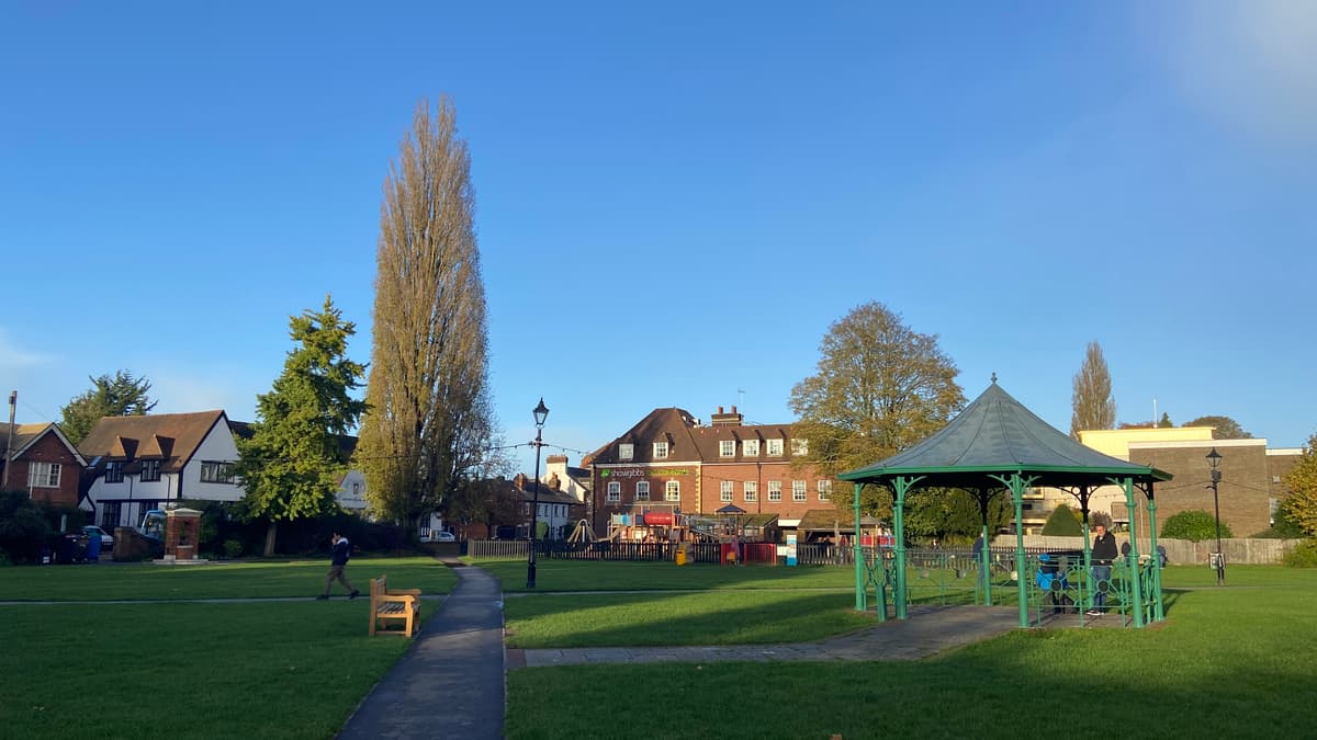 One Of Farnhams Tallest Trees To Be Felled In Gostrey Meadow Next Week