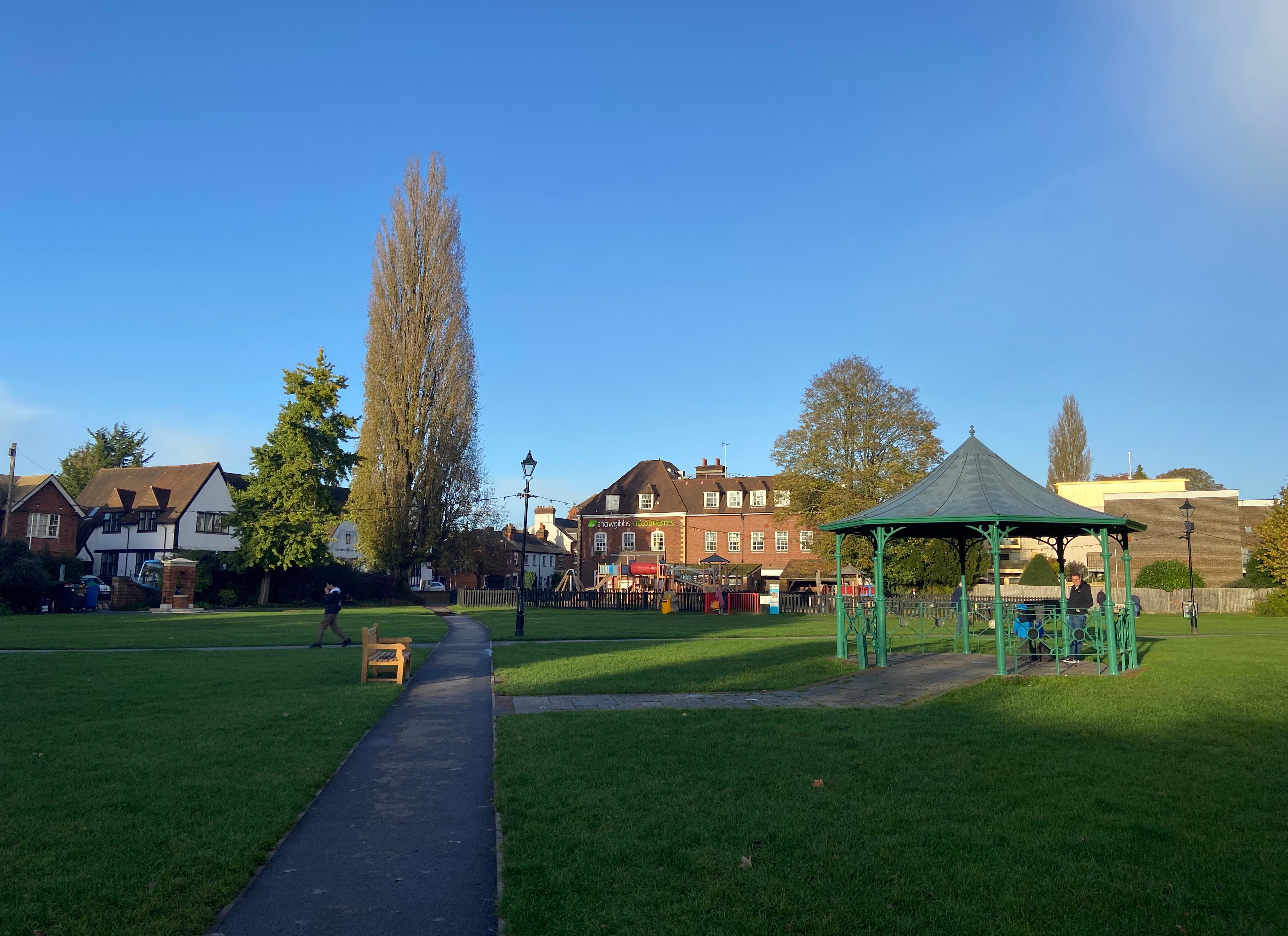 One of Farnham's tallest trees to be felled in Gostrey Meadow next week ...