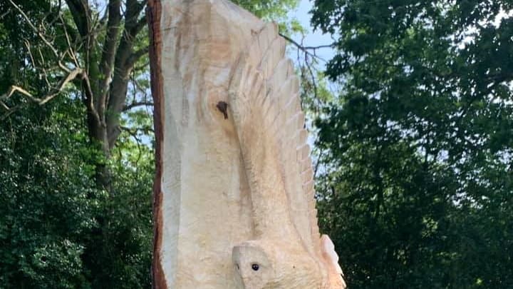 Farnham Town Council to spend £8,000 on tree stump carvings despite ...