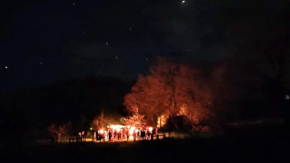 Join the Wassailing fun at Swan Barn Farm in Haslemere this January ...