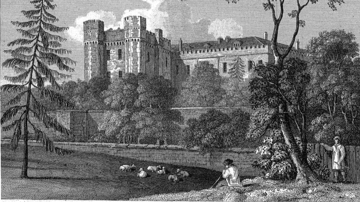 How the Hampshire 'Blacks' raid on Farnham almost caused a revolt 300 ...