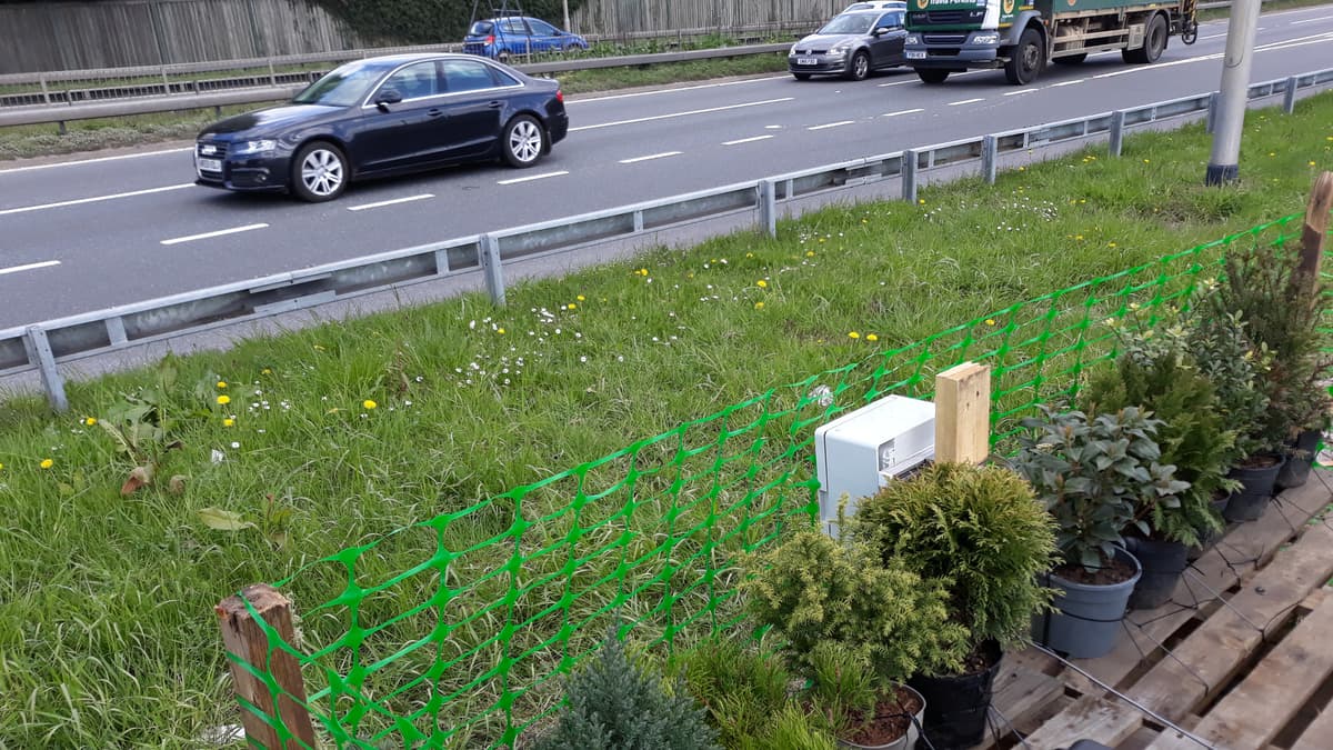 Surprise findings of University of Surrey study breaks tree pollution ...