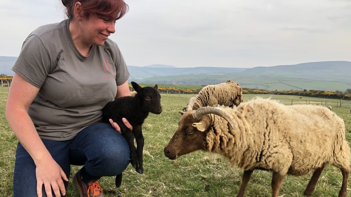 Red Mie: why we think it’s so important to educate people about farming ...