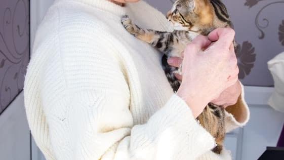 Four Marks cat hotel owner responds to criticism of her business ...