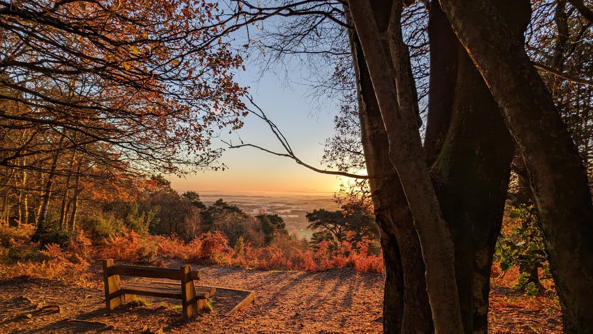 GALLERY: Stunning snaps of Black Down and Hindhead win over National ...