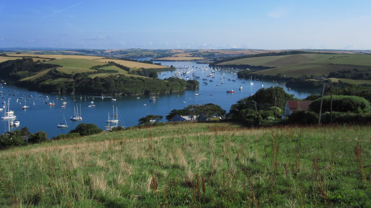 Estuaries in the South Hams: Nature Notes | kingsbridge-today.co.uk