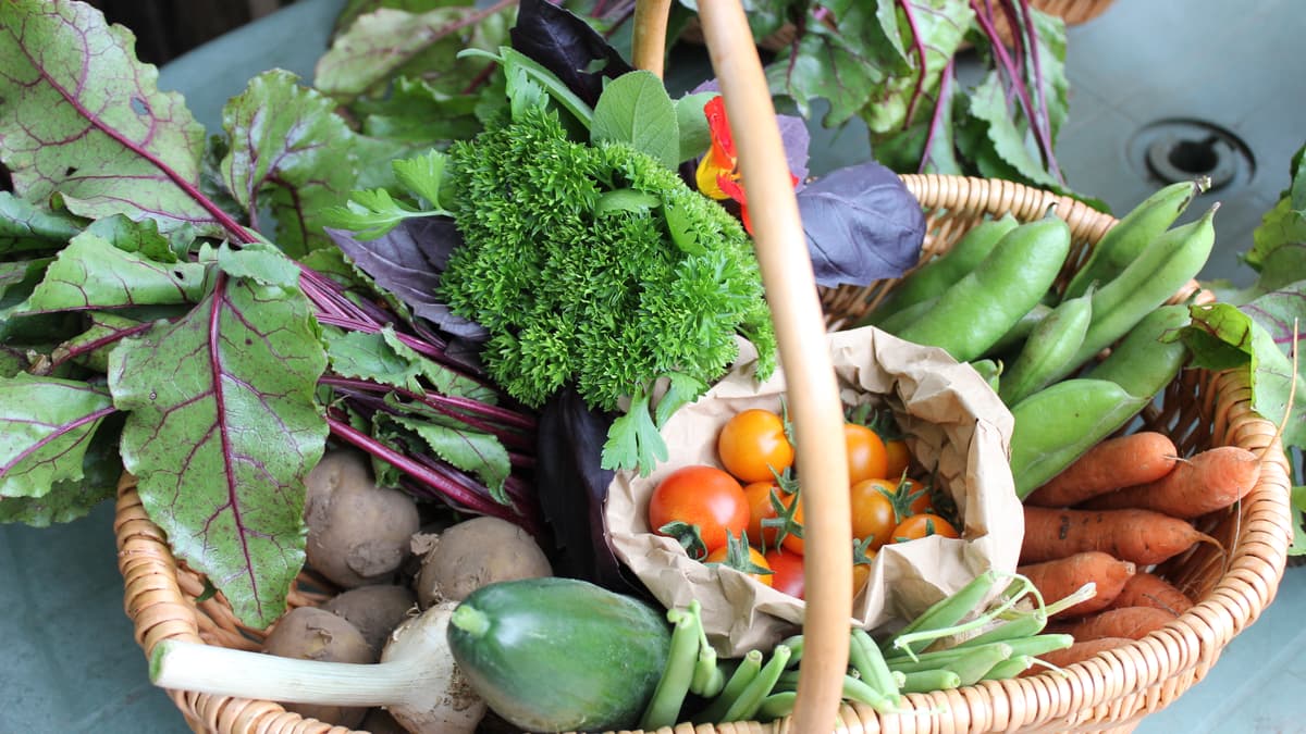Farnham Community Farm: Forgot the Valentine's roses? Make it up to her ...