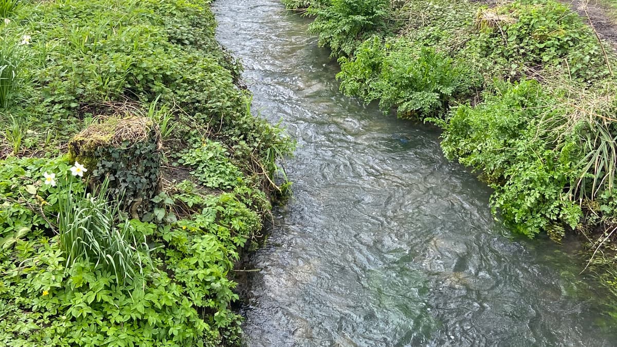 Children sick from swimming in river | farnhamherald.com