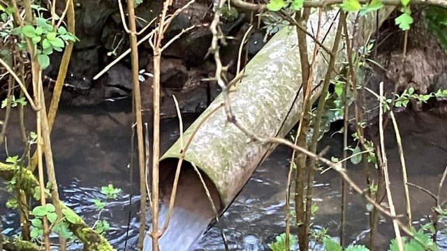 More sewage discharged into the River Wey in Farnham, Bentley and ...