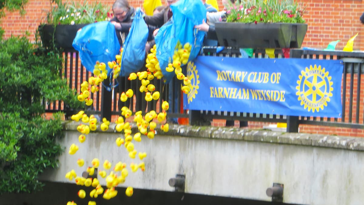 Crowds buoyed with return of The Great Farnham Duck Race ...