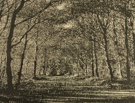 Get a new perspective on printing at the New Ashgate Gallery ...