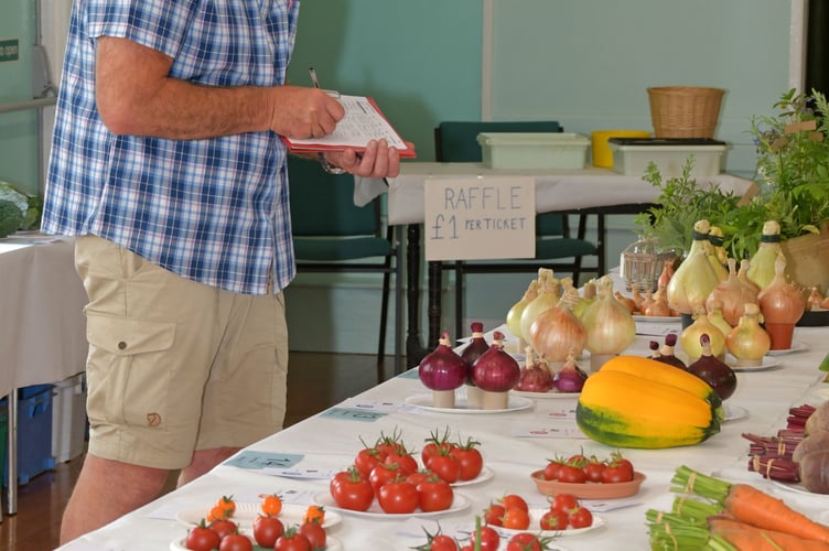 Entries and visitors up for annual Nynehead Garden Club flower show ...