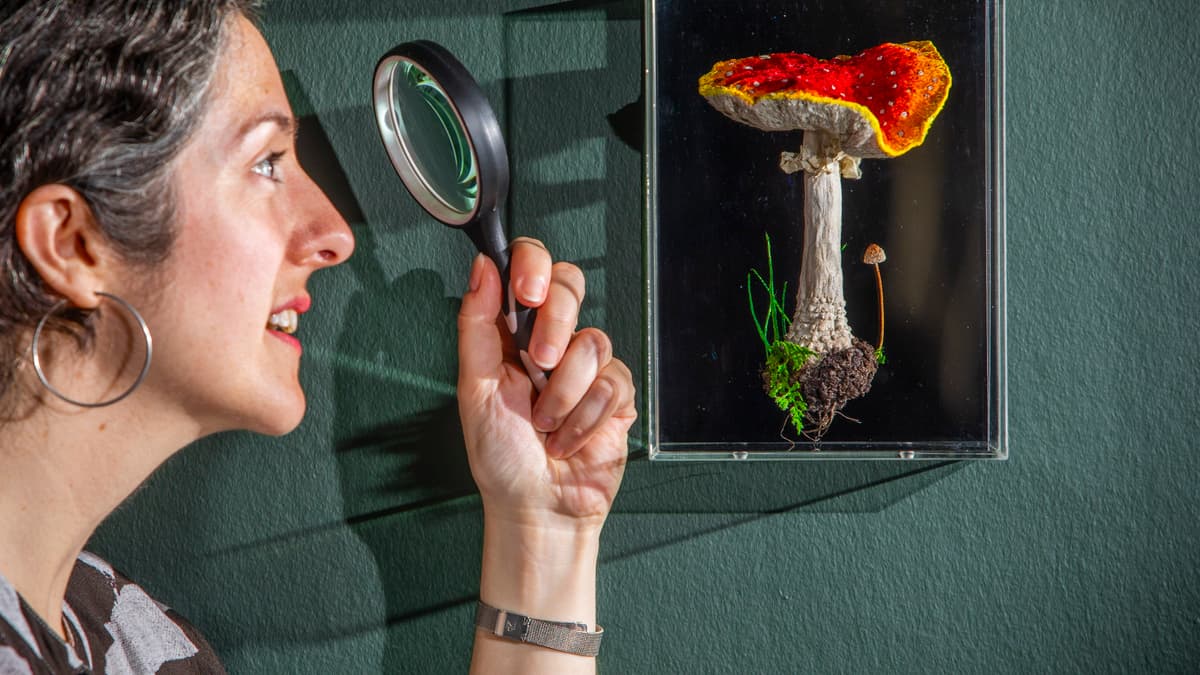 Surrey artist creates incredible life-like embroidered mushrooms ...