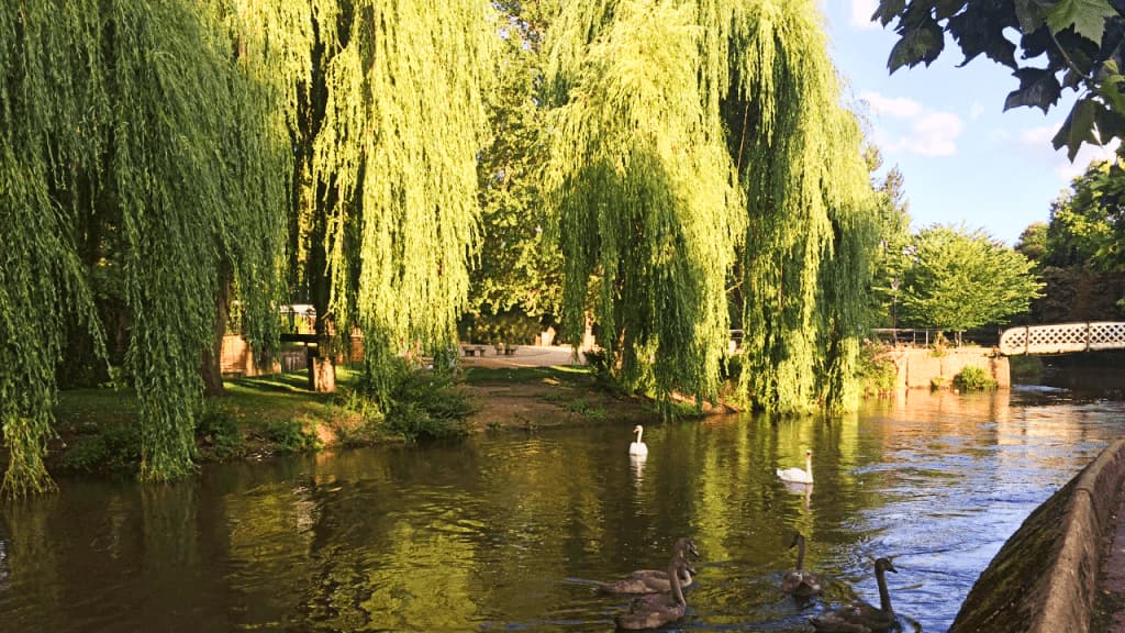 Flood warnings issued across Surrey and Hampshire | farnhamherald.com