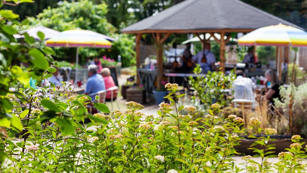 Monday Mouthful: Applegarth Farm – A hidden gem for foodies ...