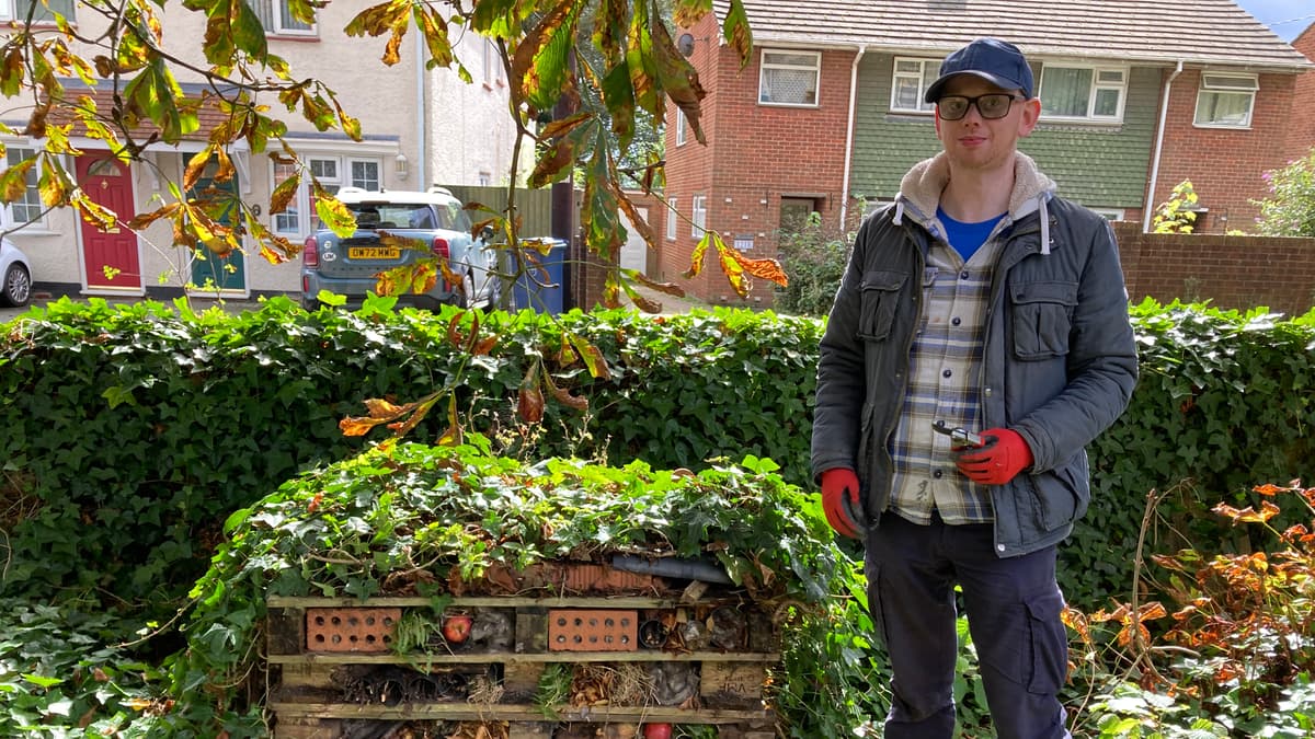 Hive Helpers transform bug hotel | farnhamherald.com