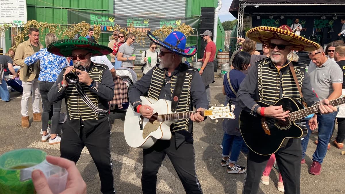 Record breaking Hop Harvest festival at Tongham brewery | farnhamherald.com
