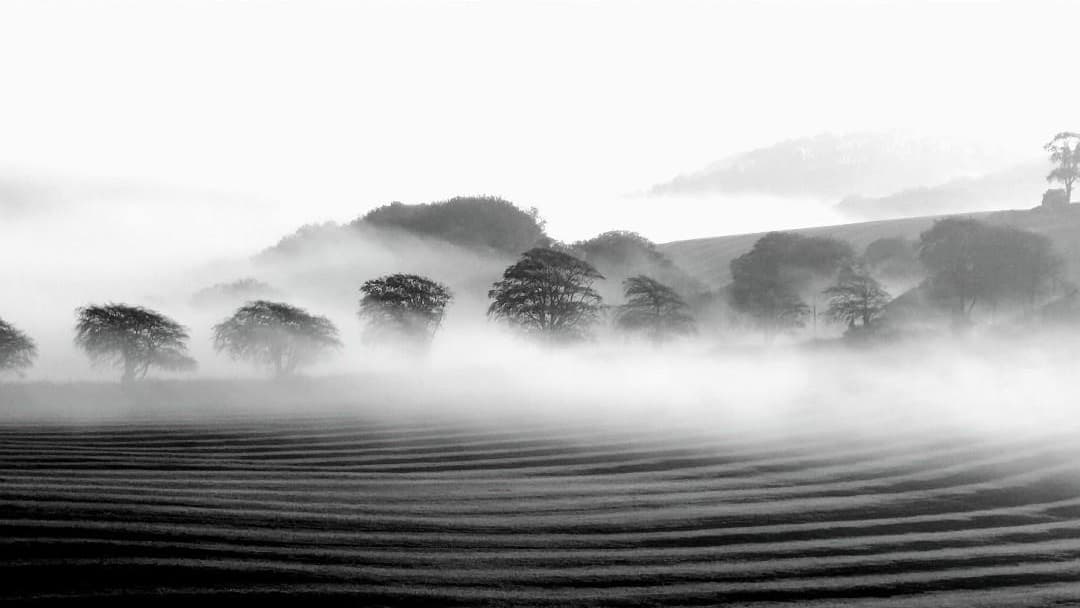 New exhibition celebrating the beauty of the South Downs in Petersfield ...