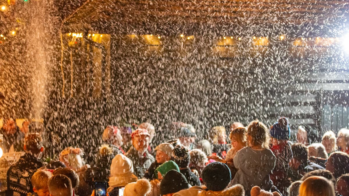 Reindeer arrive for Christmas at Sky Park Farm | farnhamherald.com