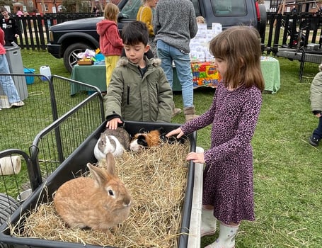 WATCH: Farnham in Bloom beds in for day of community spirit ...
