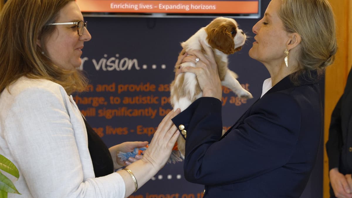 Charity to host community fun walk to launch ‘Lead the Way’ fundraiser ...