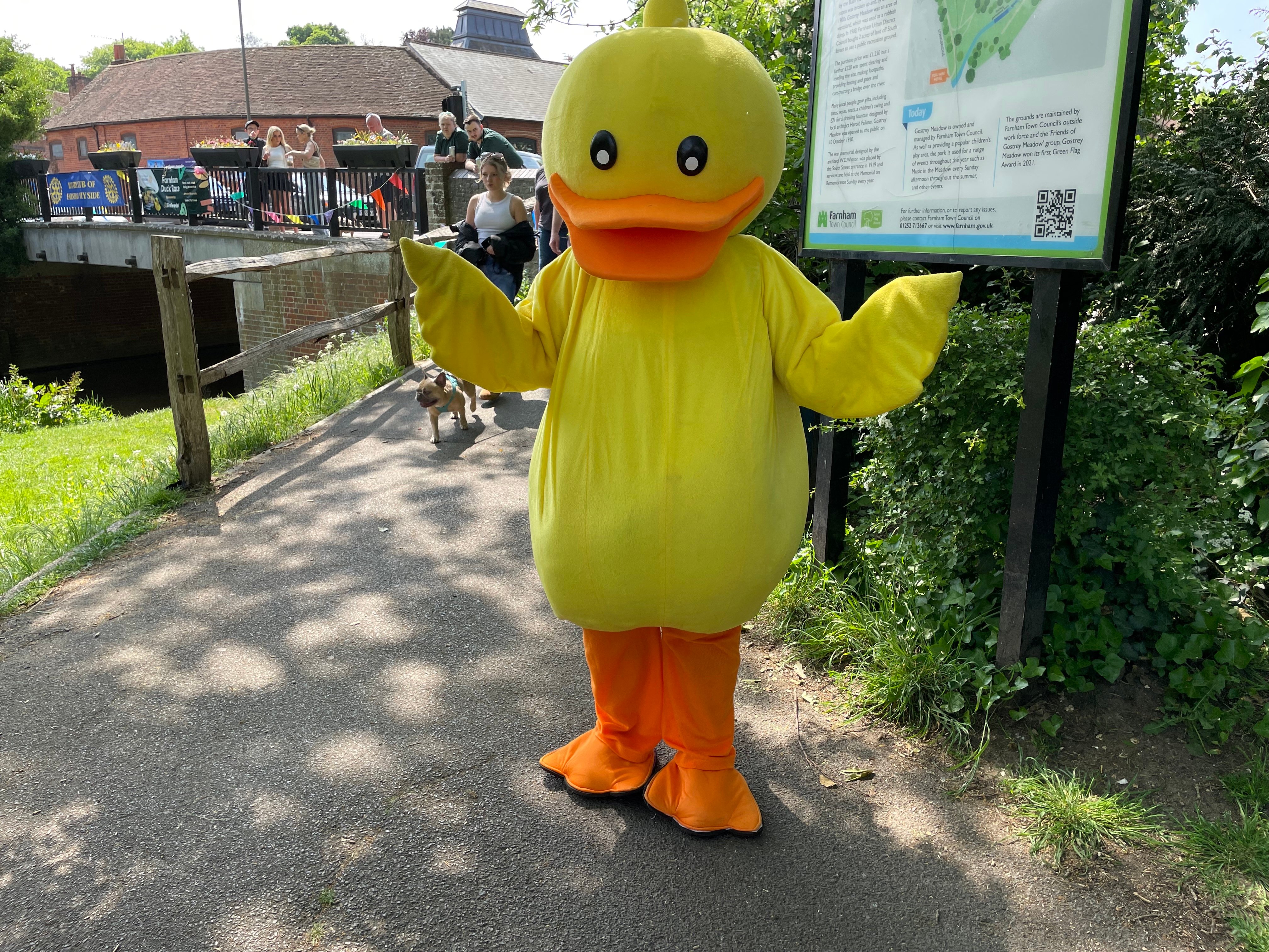 WATCH: The Great Farnham Duck Race 2025 makes a splash | farnhamherald.com