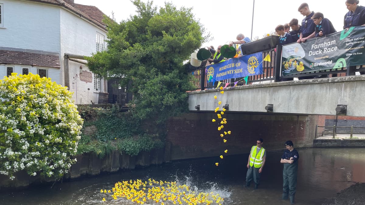 WATCH: The Great Farnham Duck Race 2025 makes a splash | farnhamherald.com