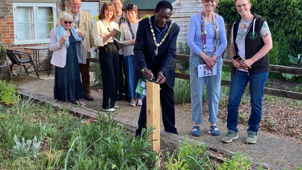 WATCH: Visitors swarm to museum garden for Farnham Bee Trail launch ...