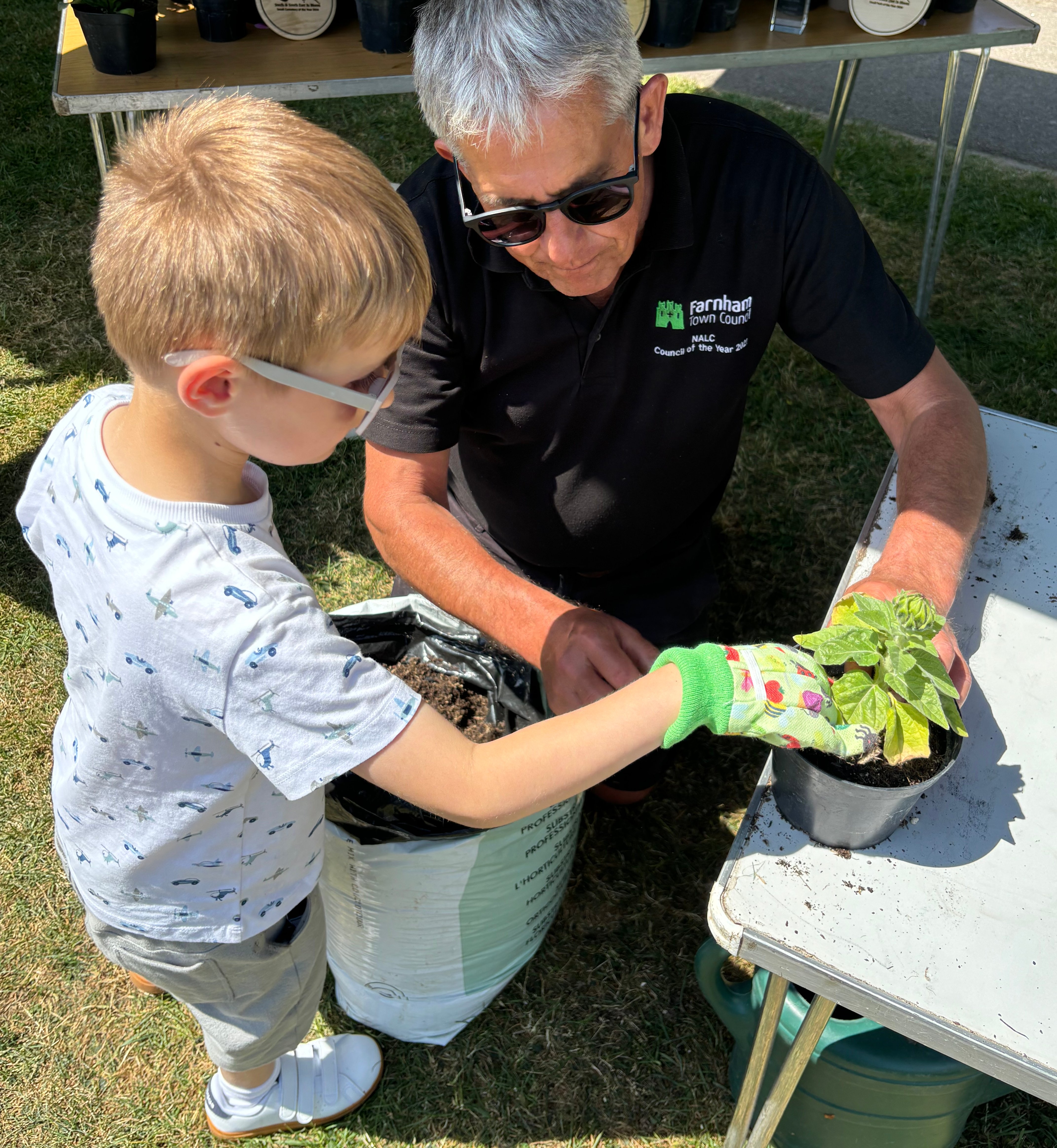 Farnham’s Sustainability Festival offers a day of green inspiration ...