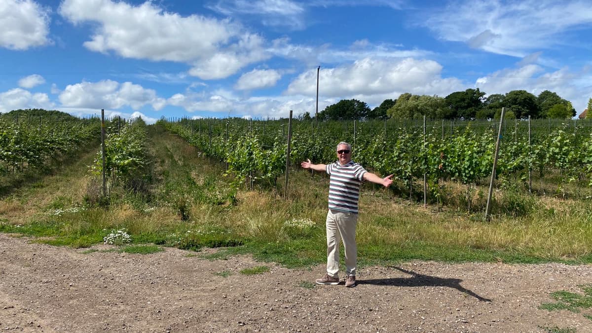 Is everything rosé in Hampshire and Surrey's wine industries ...