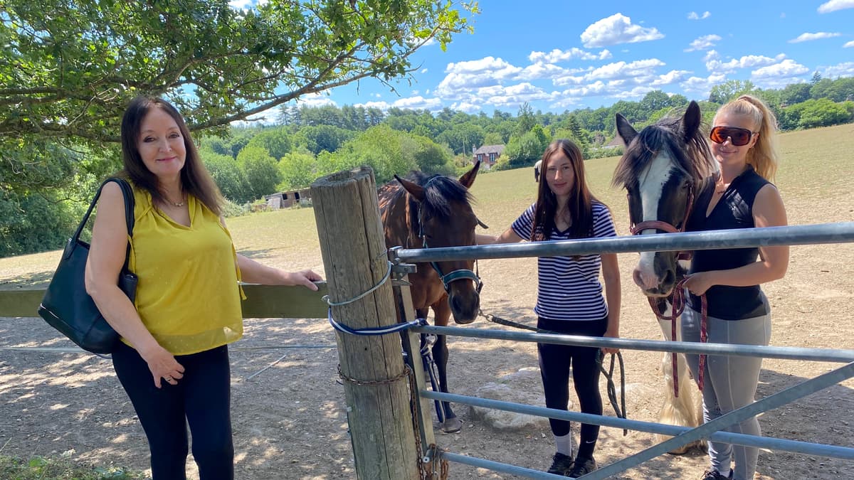 Rowledge equestrian centre faces biggest hurdle as 49 homes earmarked ...