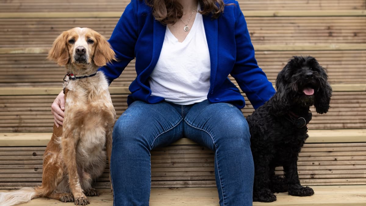 Haslemere’s Rachel Lane among top finalists in UK Financial Advice ...