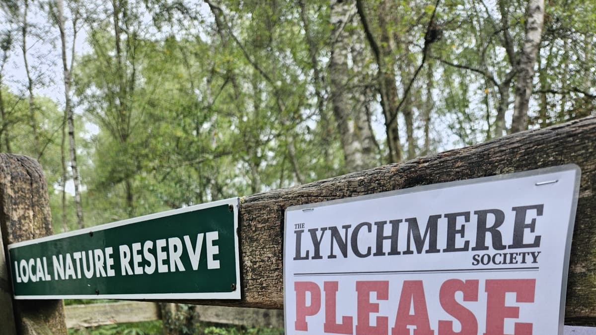 Dog poo bags threaten Haslemere's wildlife at Lynchmere | farnhamherald.com
