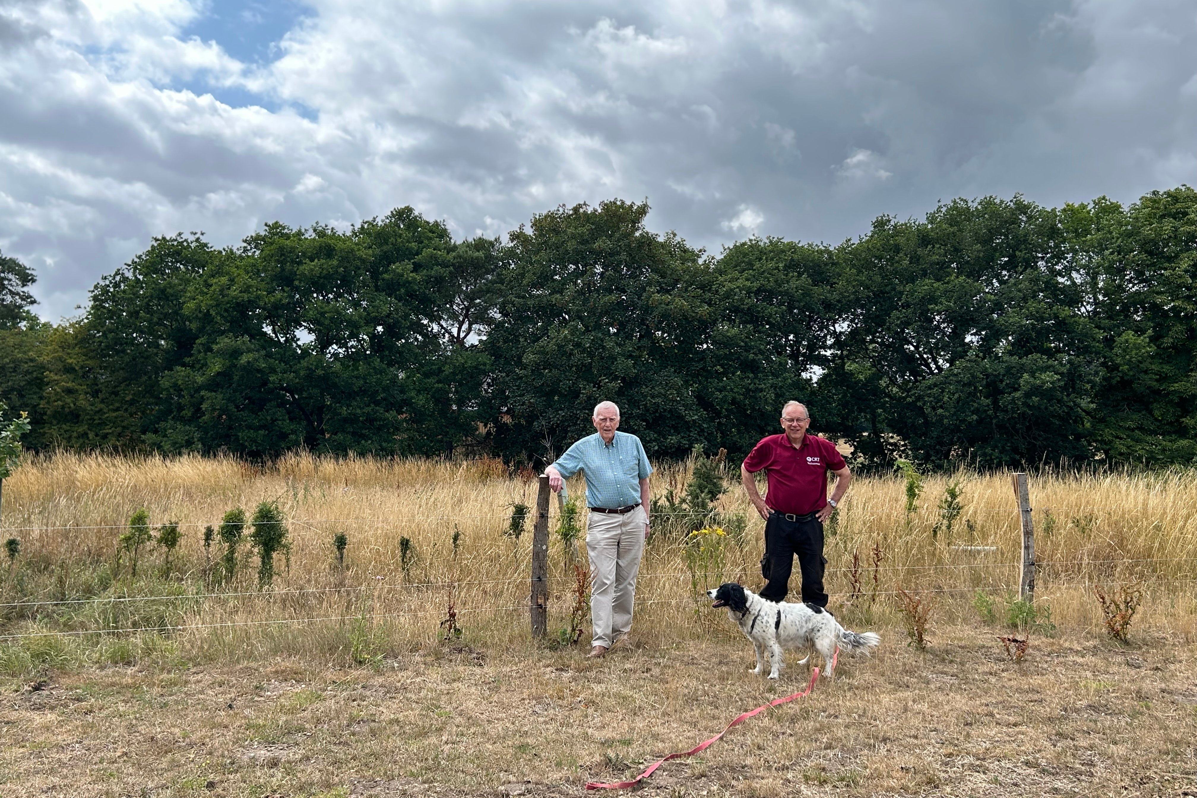 Wildflower meadow project is blossoming at Pierrepont Farm ...