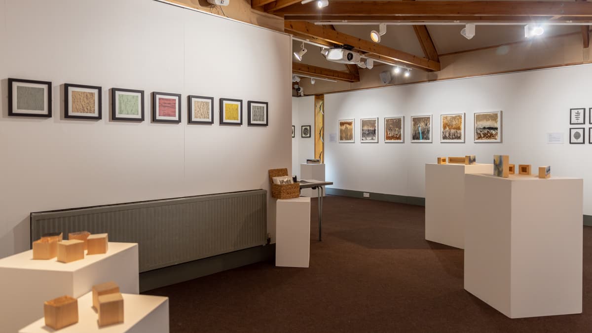 Artists staging exhibition to highlight ancient woodland ...