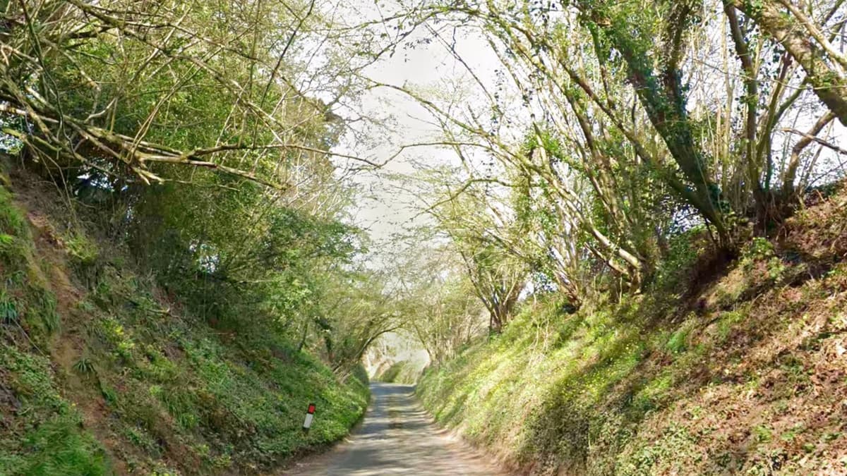 Enforcement action served on Surrey Hills illegal traveller site ...
