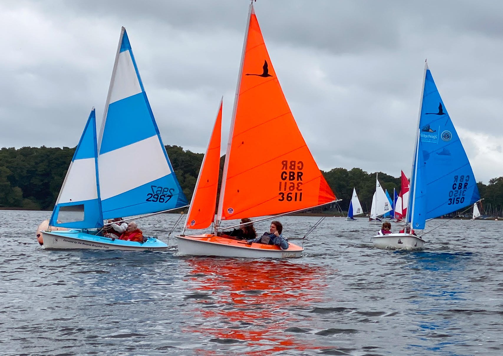 Riggs wins Richard Smallwood Trophy at Frensham Pond Sailability ...